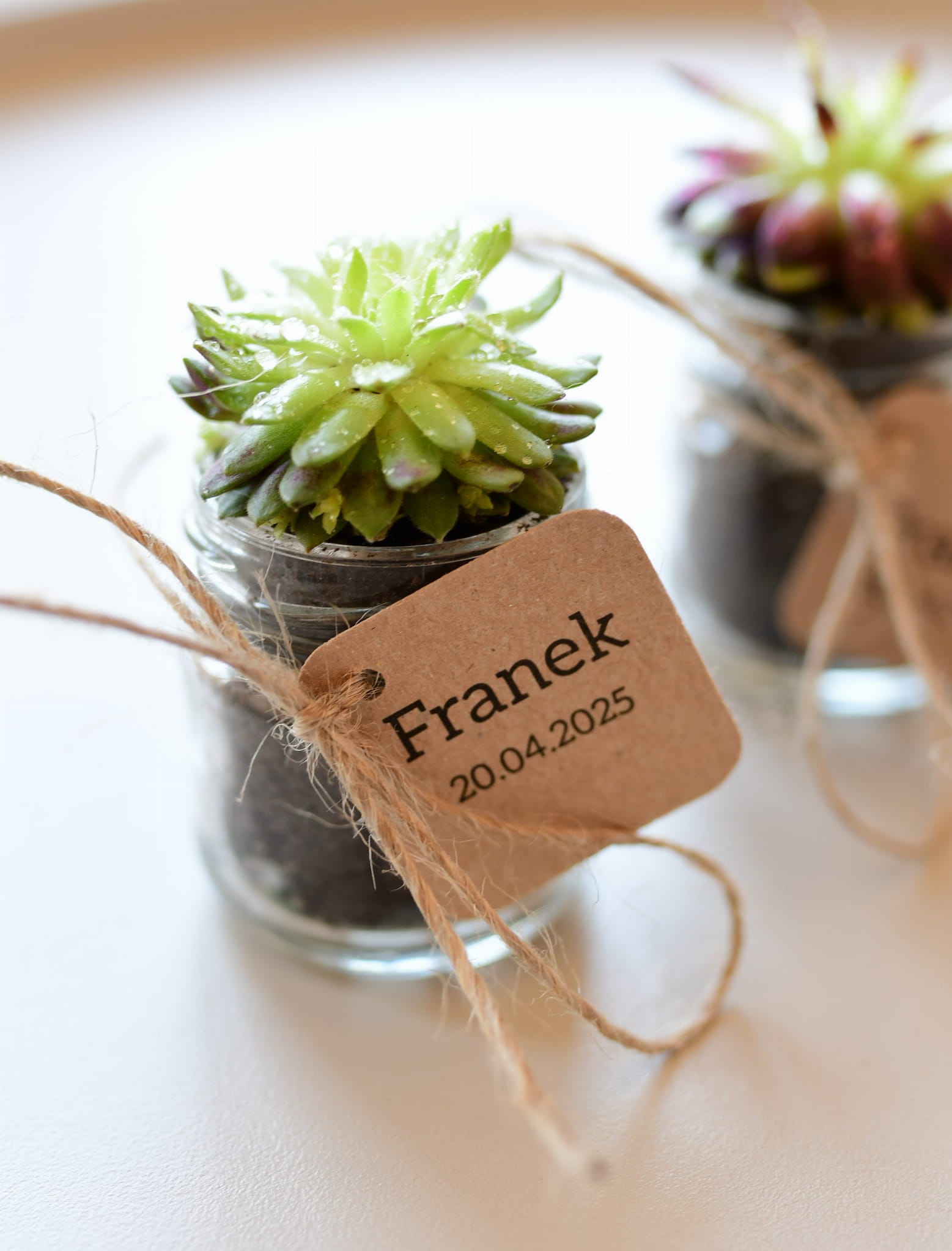 personalizowane upominki na każdą okazje - mini-sukulenty
